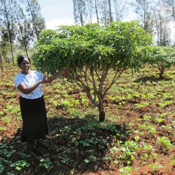 Stories | TIST Program