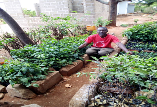 Newsletters | TIST Program